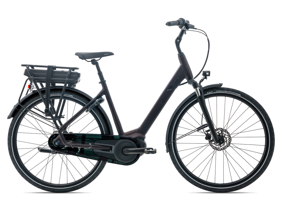 Giant elektrische fiets kopen? | Fietsenconcurrent.nl